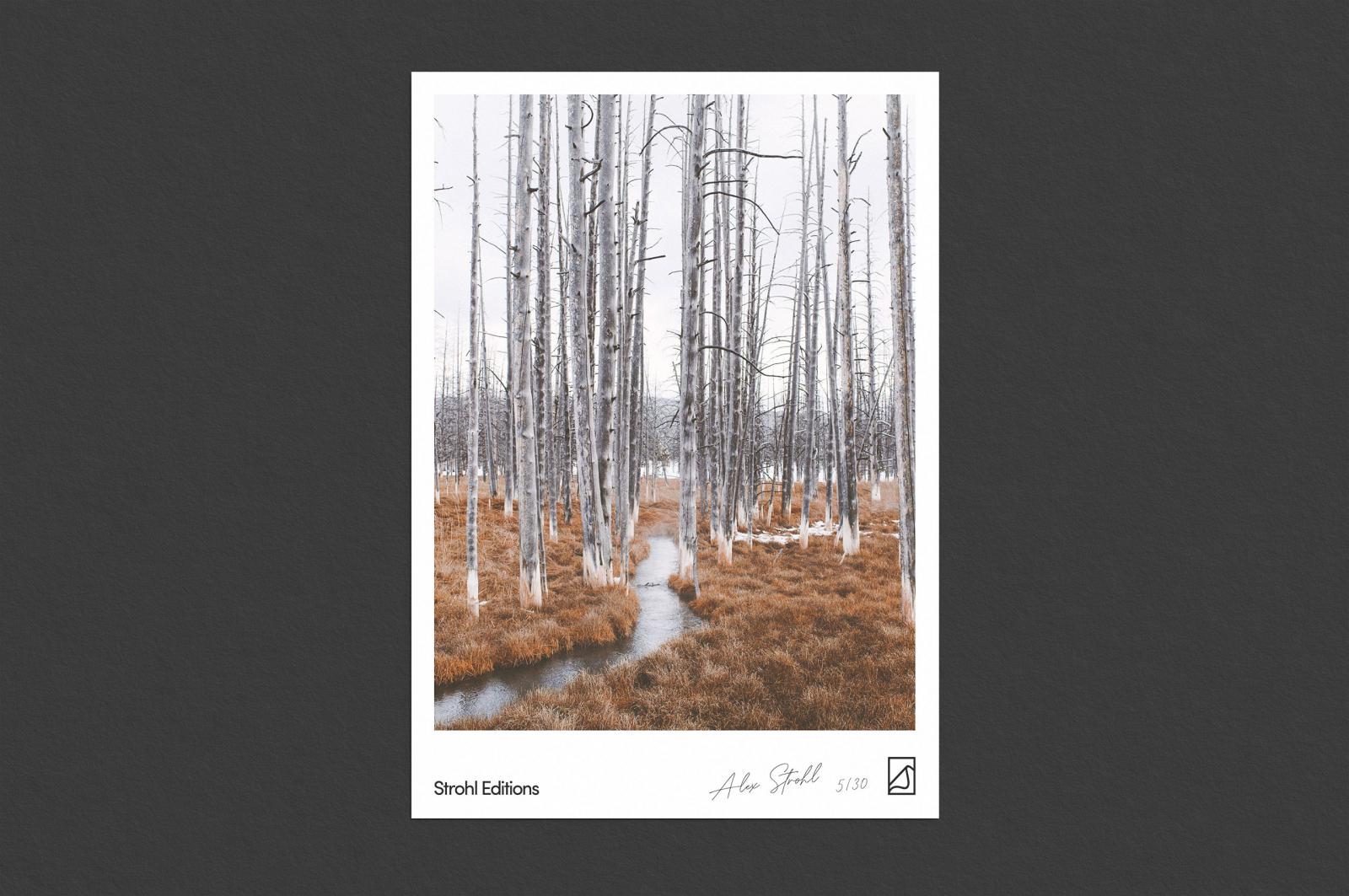 Alex Strohl - Mast